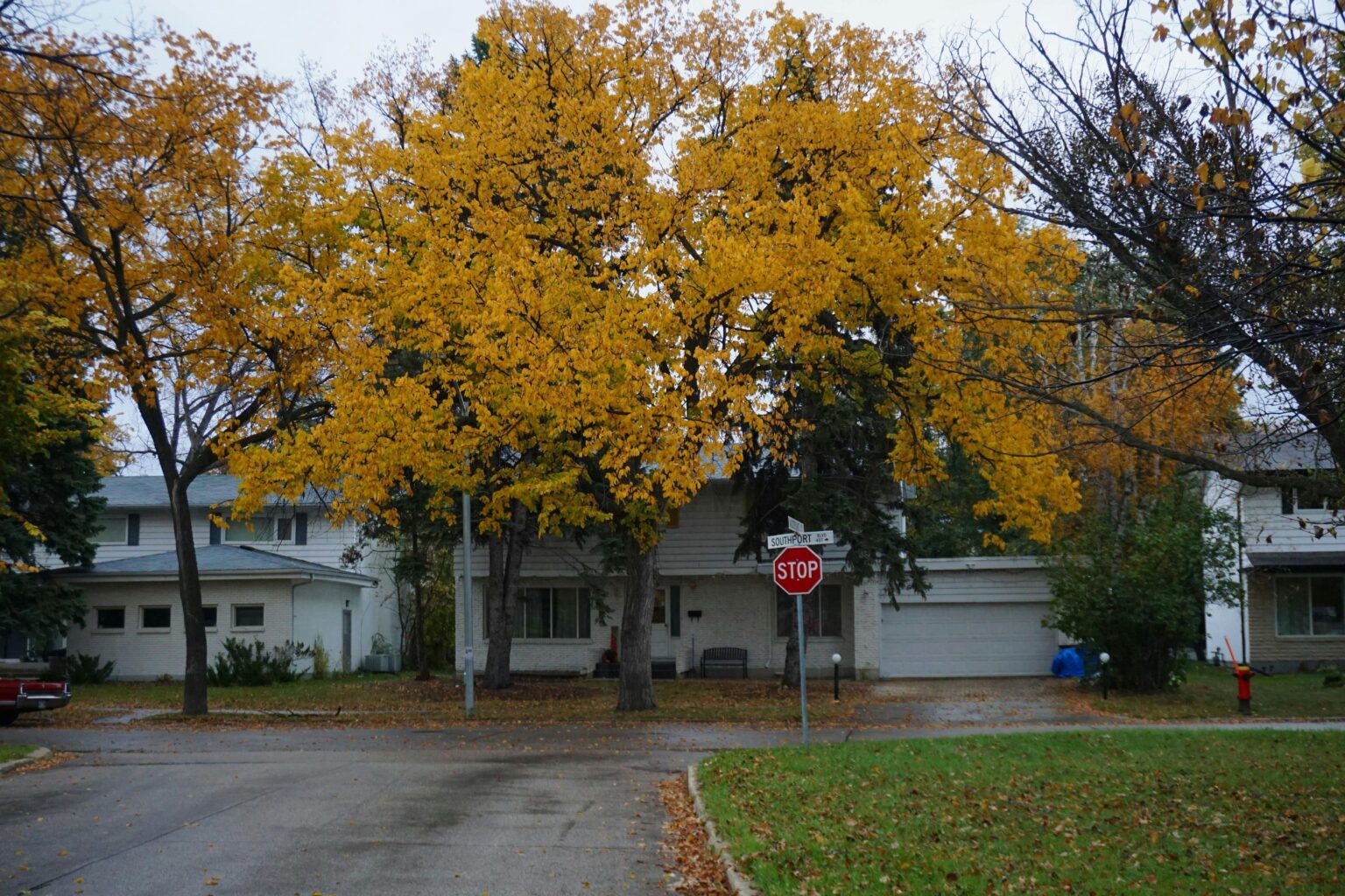 Common Signs of Asphalt Deterioration and When to Act - Walt's Paving